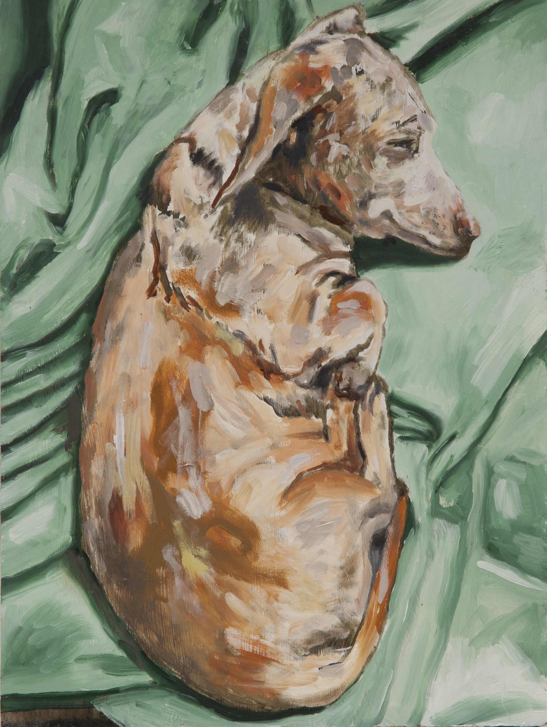 ROSENBERG - Augen Gallery