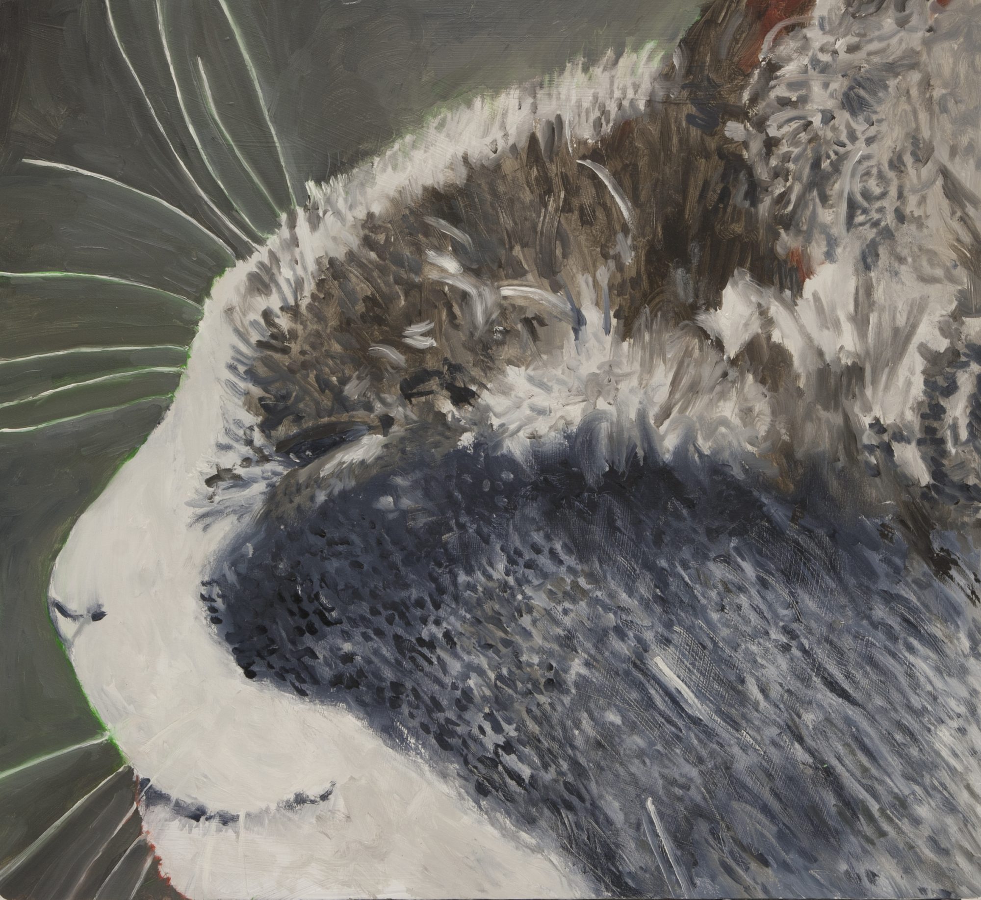 HEAD SHOT - Augen Gallery