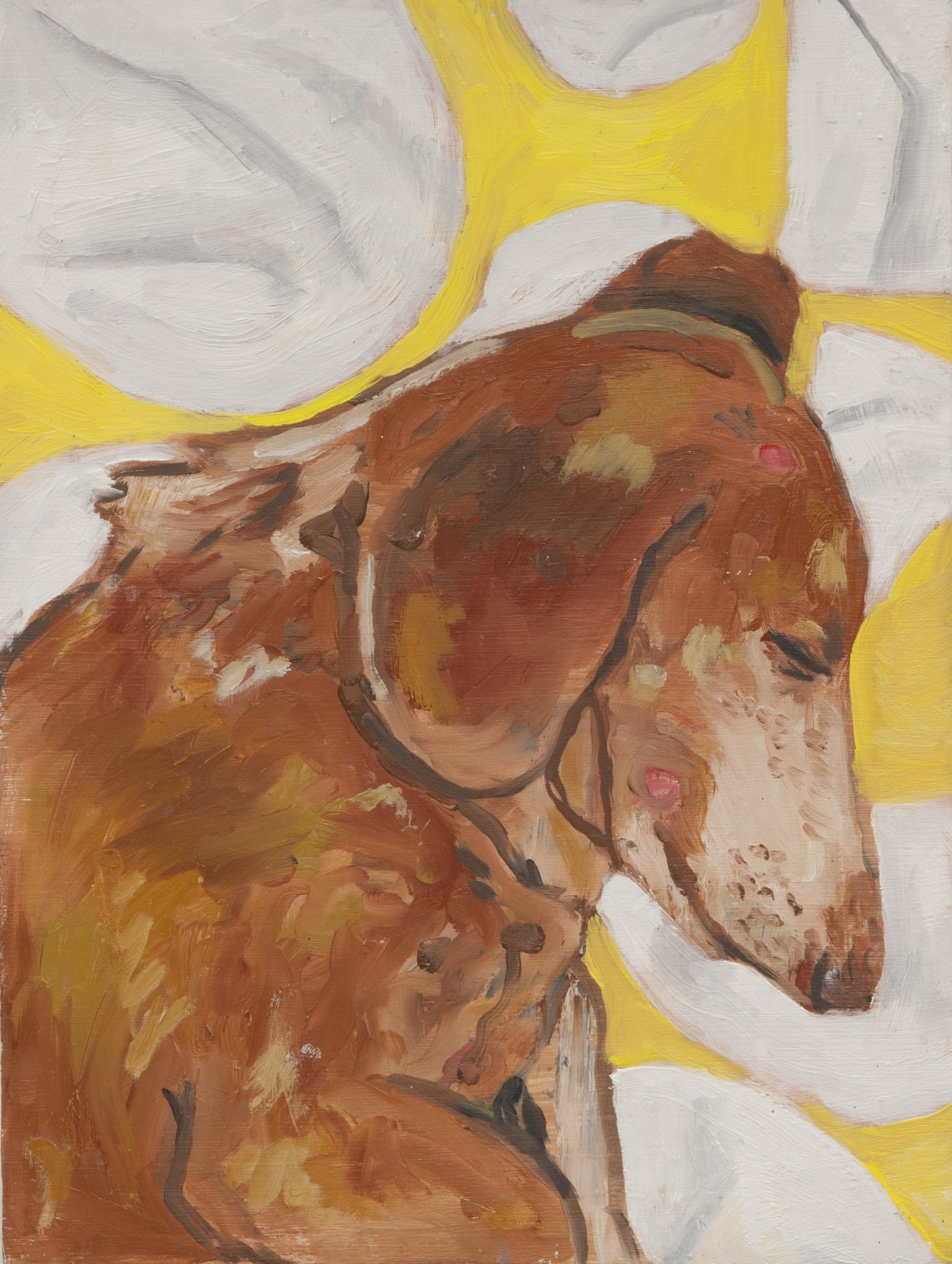 IKEA (I KNOW EVERYTHING ALREADY) - Augen Gallery