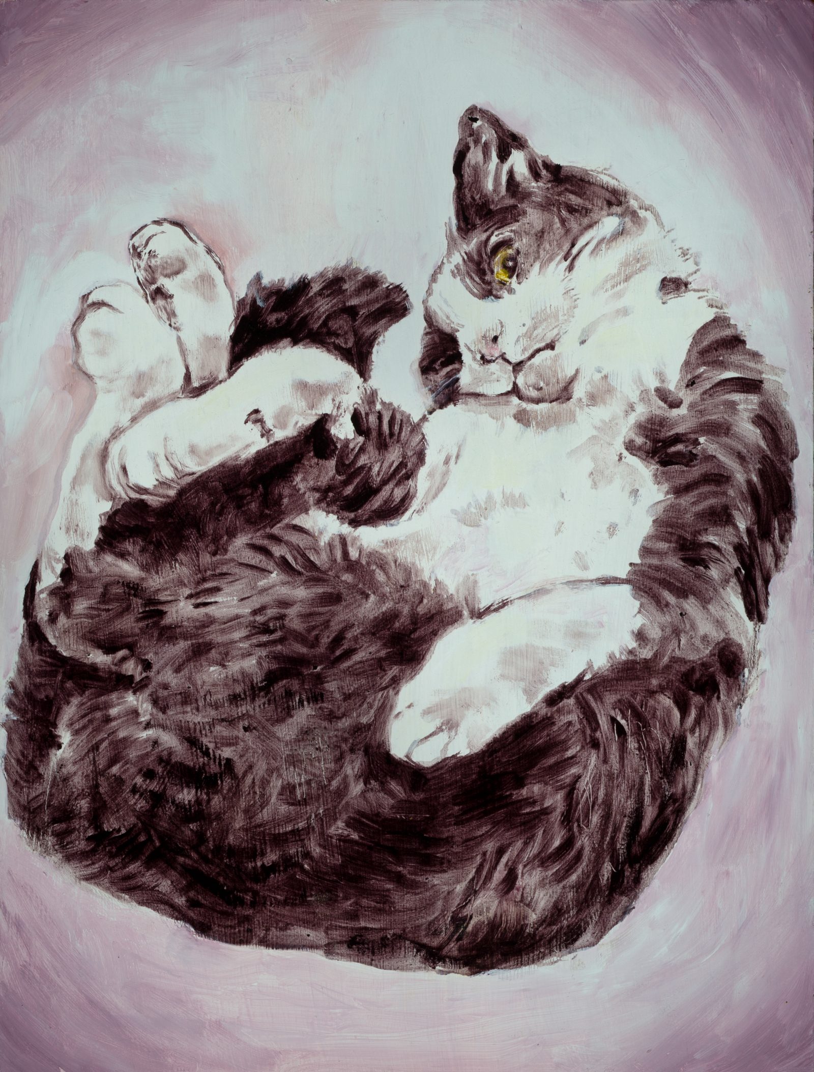 JAZZ HANDS - Augen Gallery