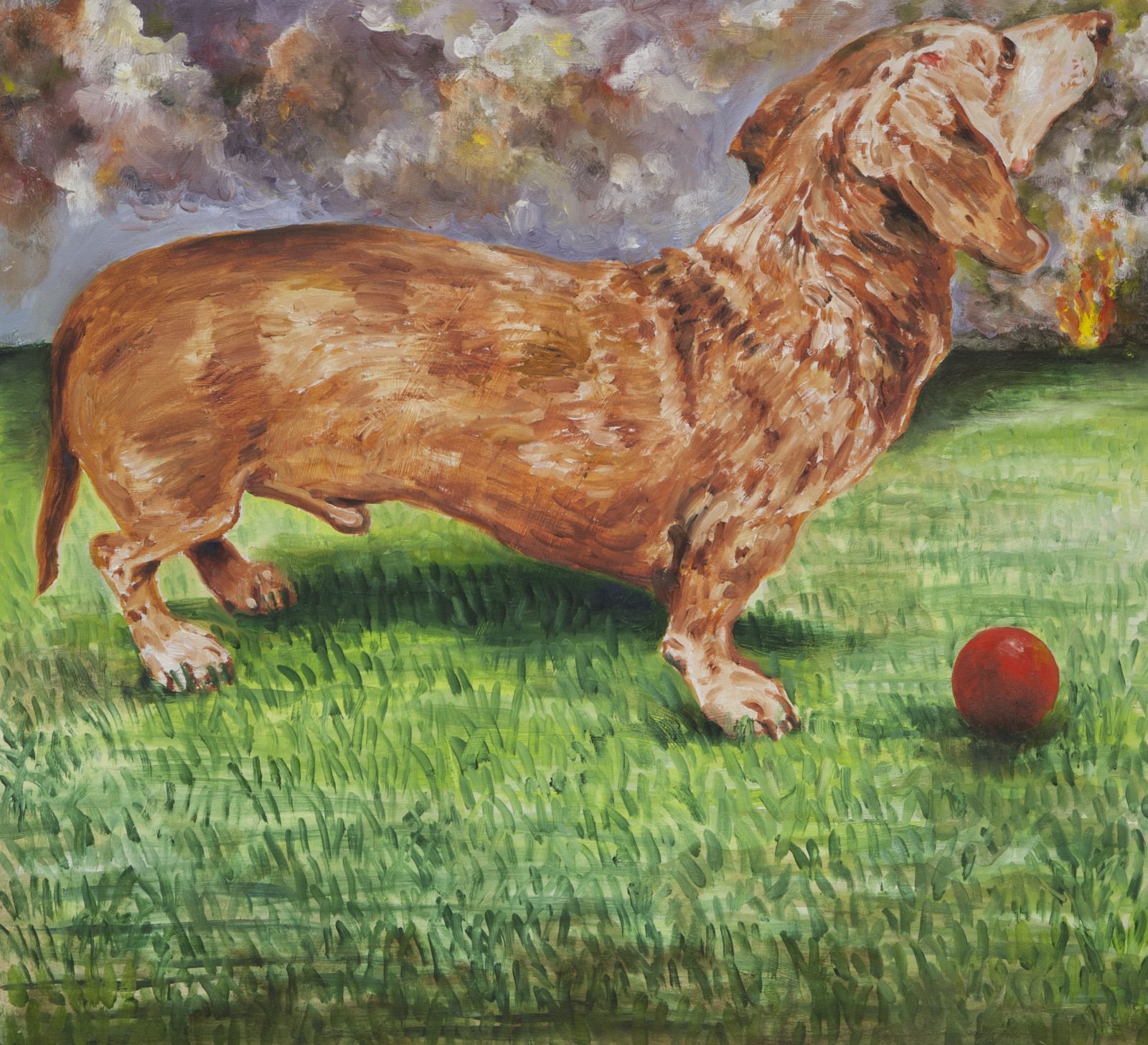 PARADISO - Augen Gallery