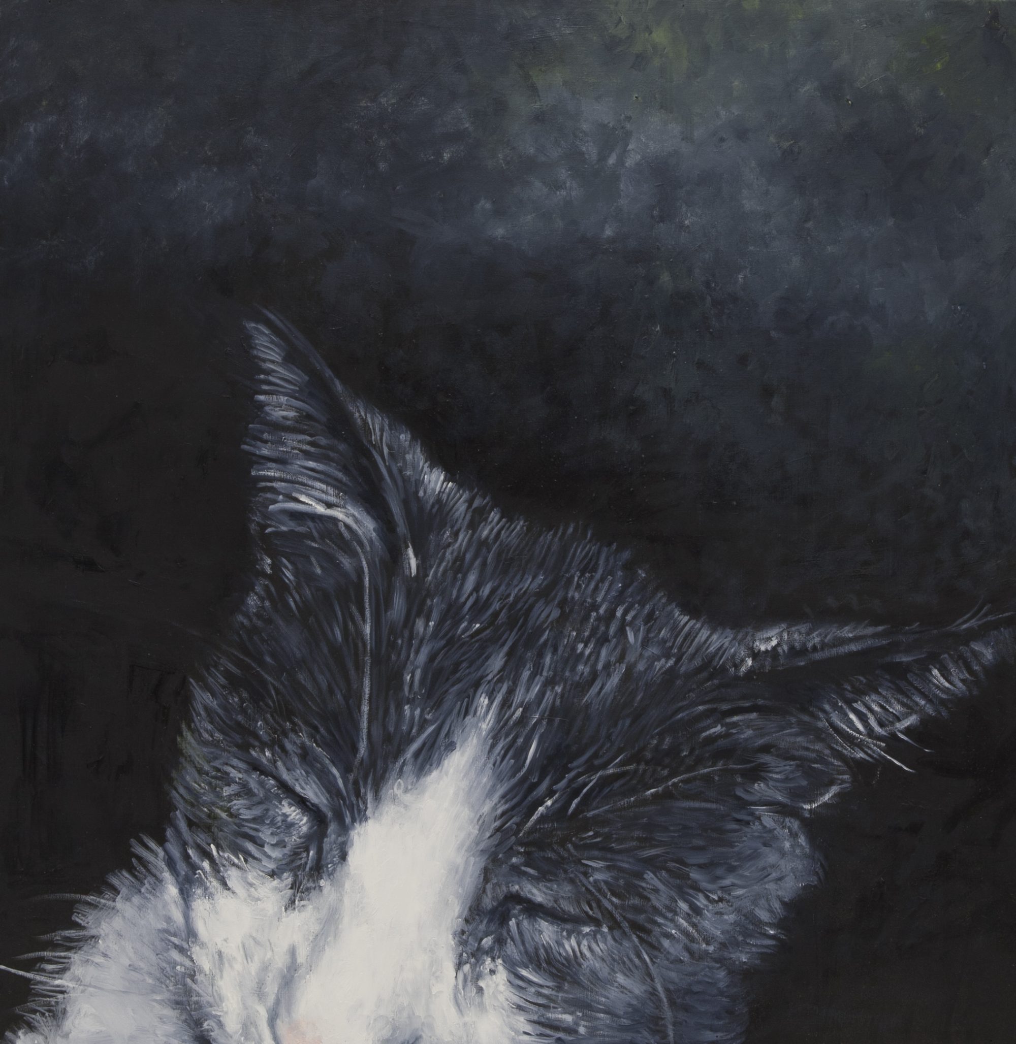 PENSATIVO - Augen Gallery