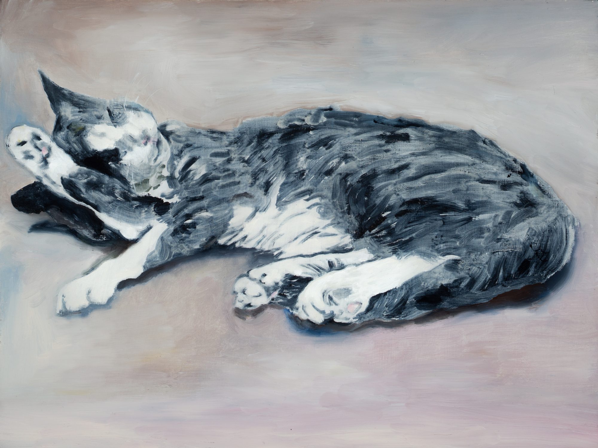 THE GROOMER - Augen Gallery