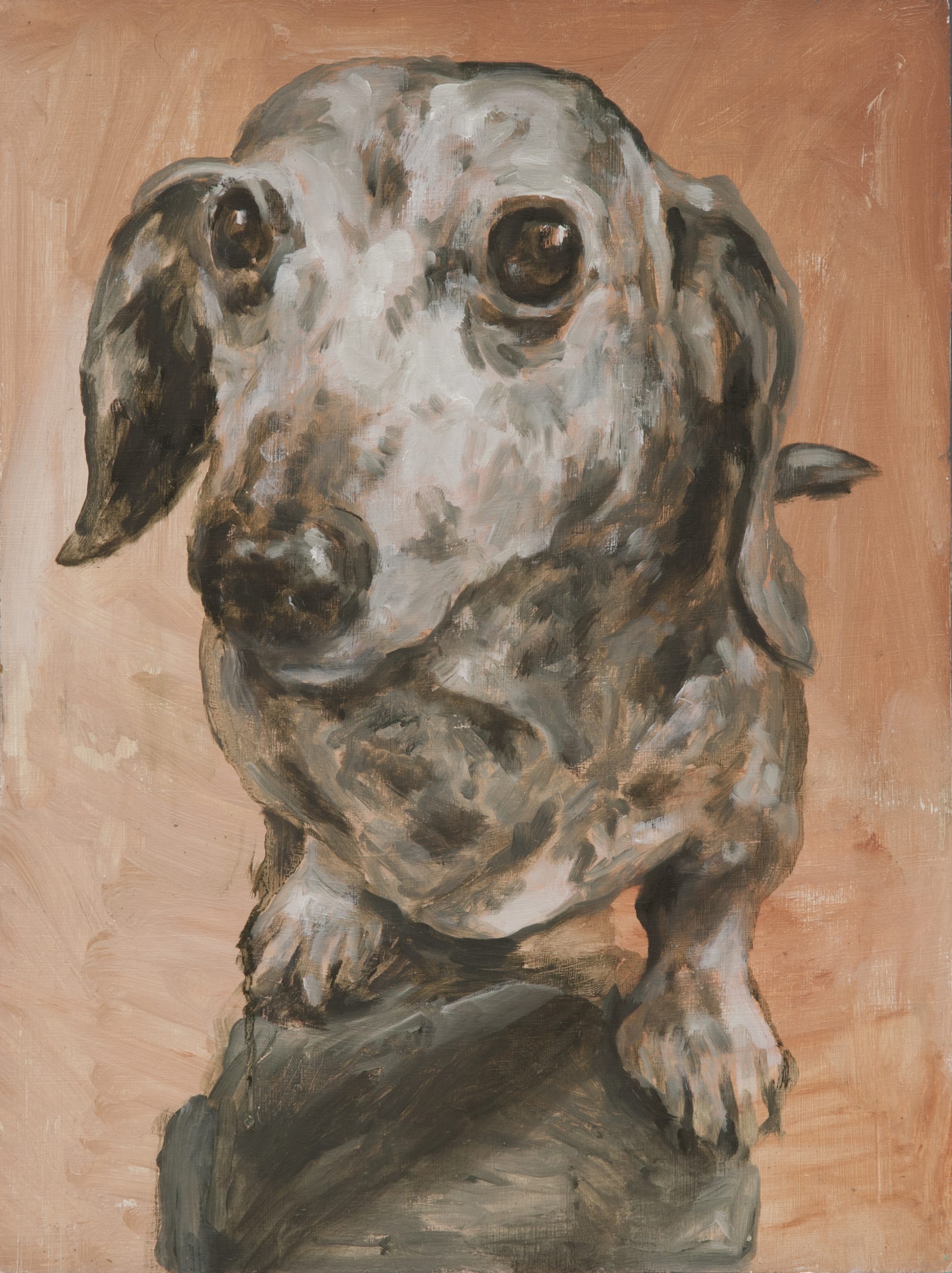 BEN KILLEN ROSENBERG - RECENT PAINTINGS: BUNNY AND MUSO - Augen Gallery