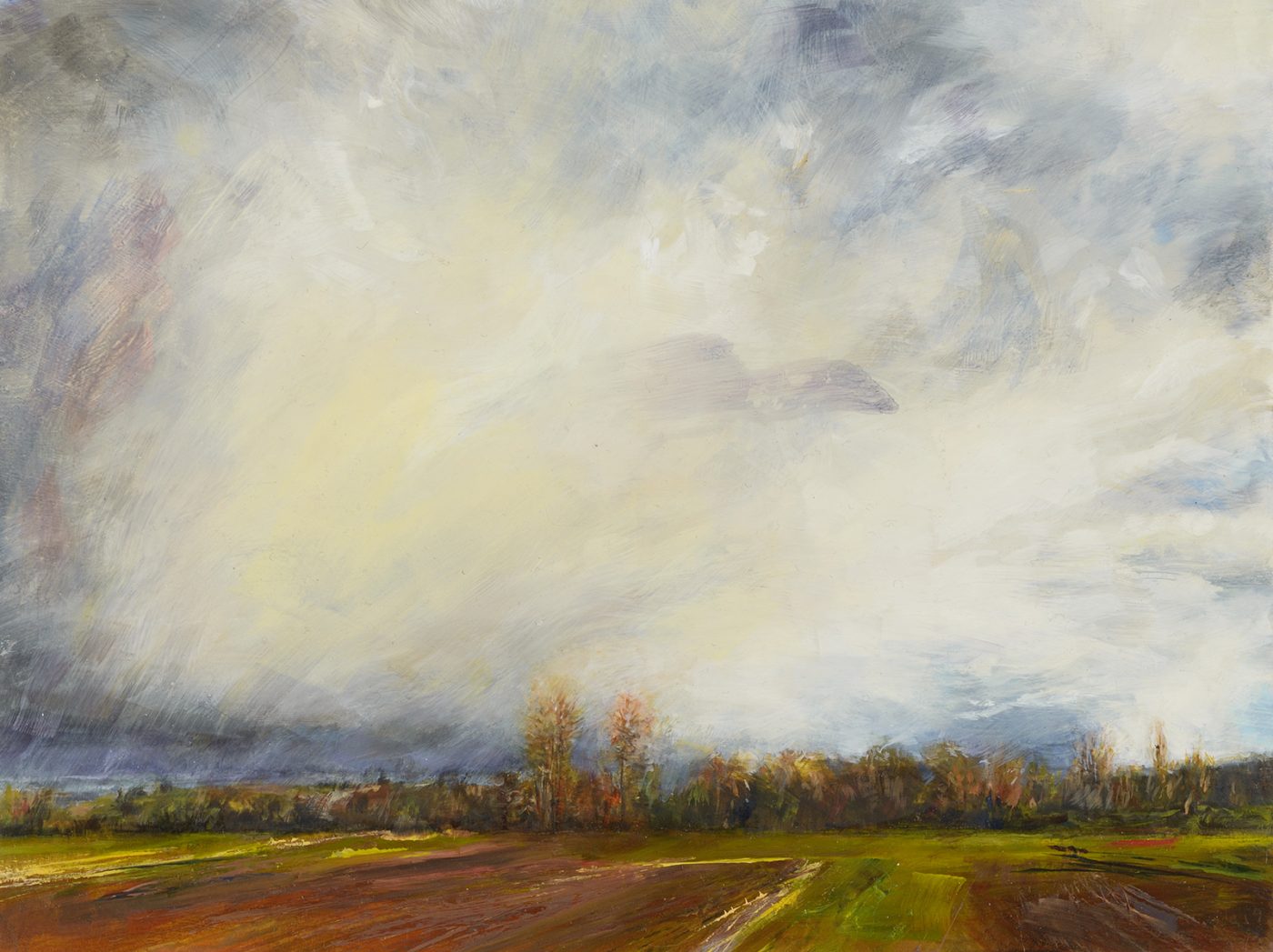 SALLY CLEVELAND – OPEN DOOR / INFINITE SKY - Augen Gallery