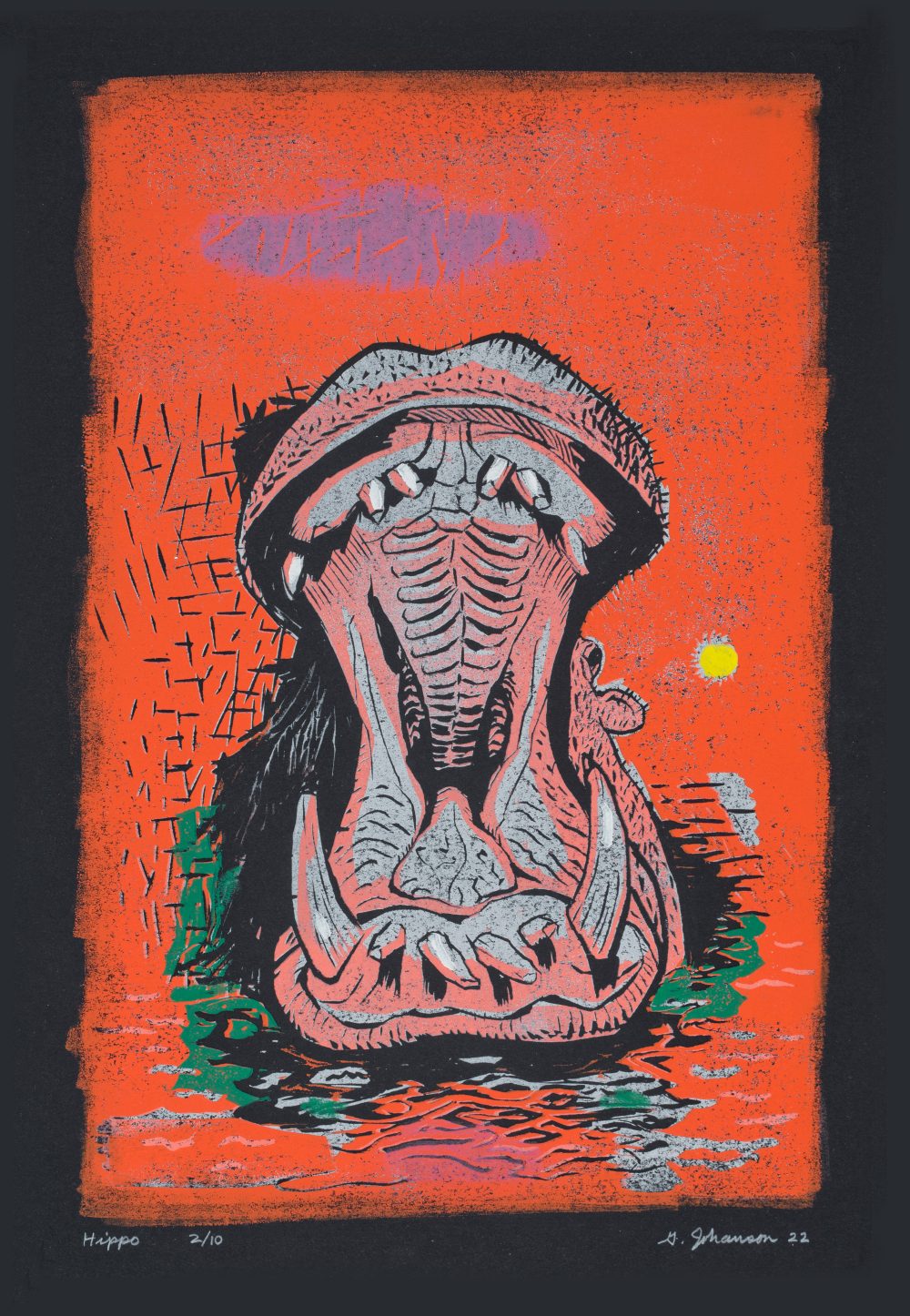 HIPPO Augen Gallery HIPPO Augen Gallery