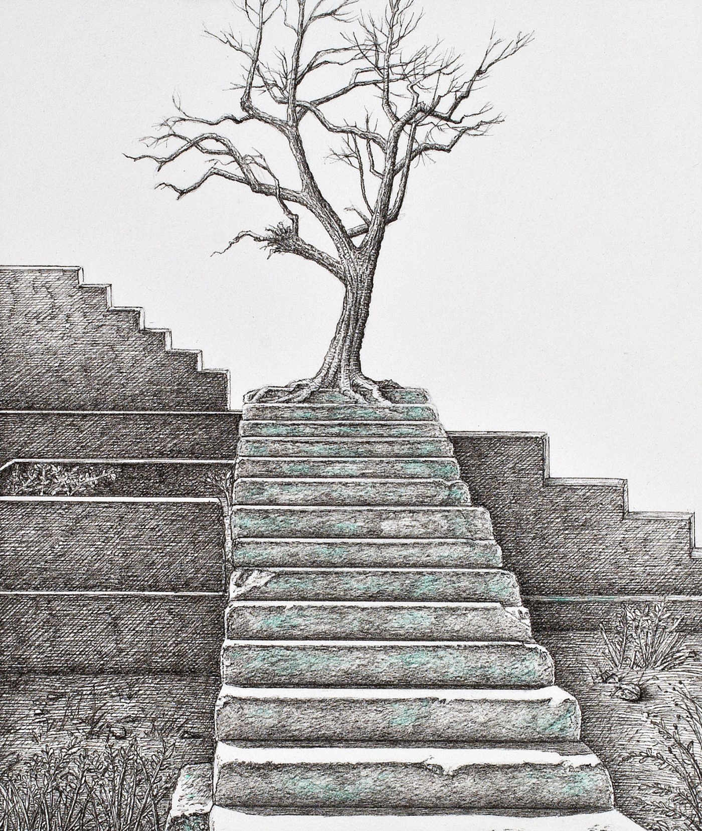 TREE ON TOP OF STAIRS - Augen Gallery