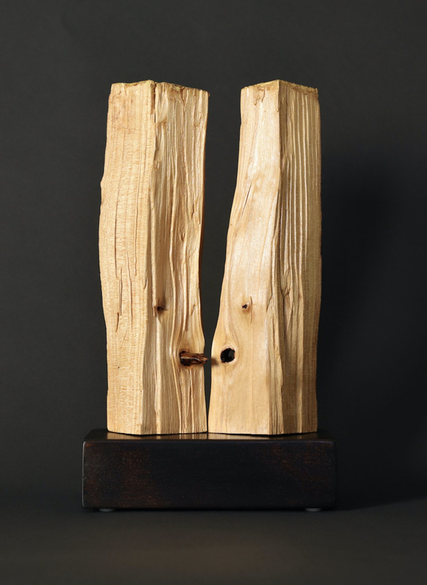 THE KINDLING THEORY - Augen Gallery