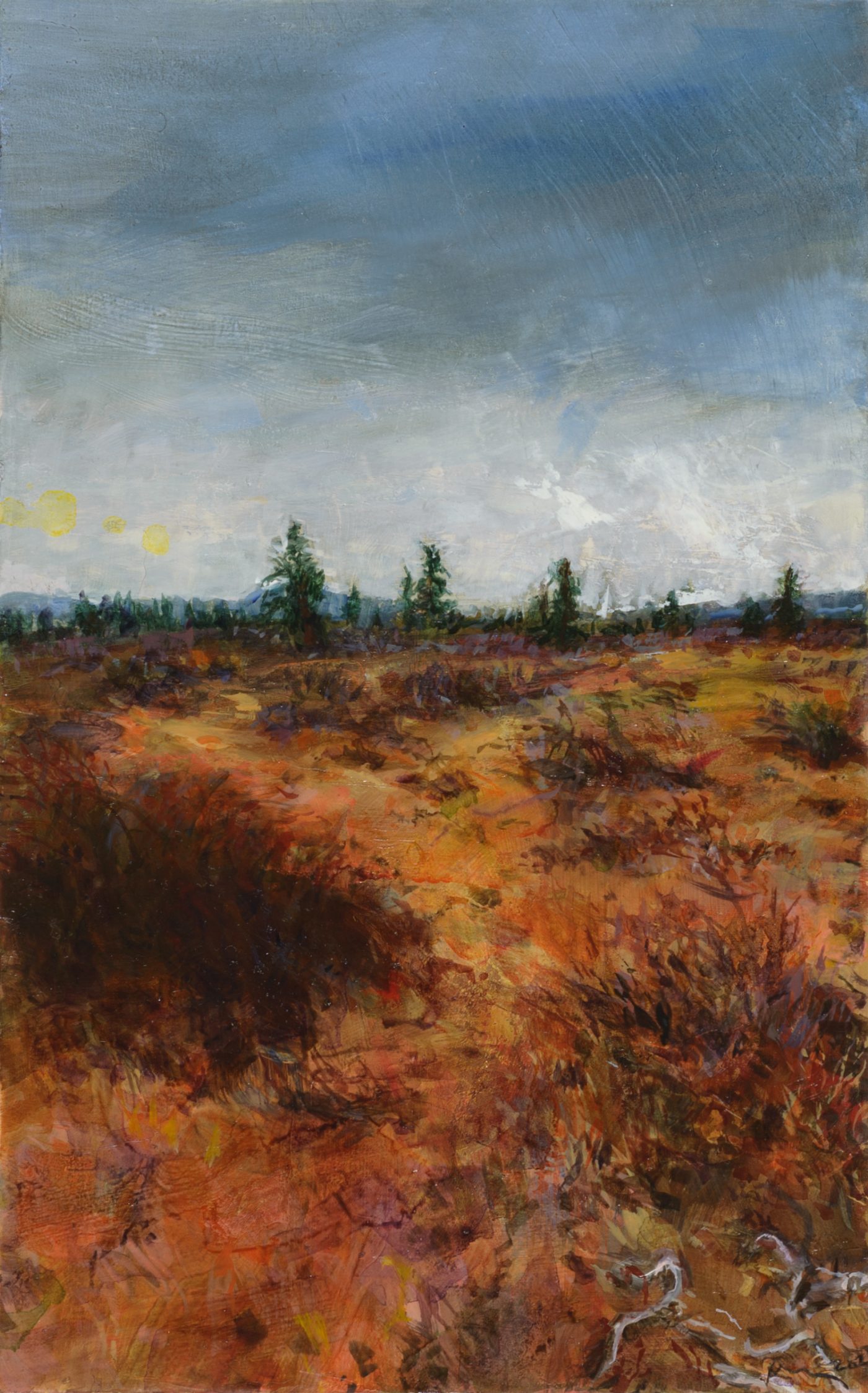 SALLY CLEVELAND: PAINTING THE PACIFIC NORTHWEST - Augen Gallery